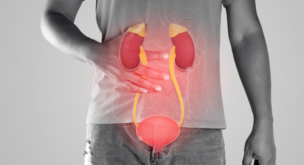 Estudo pioneiro detecta perfil de bactéria causadora de infecção ...